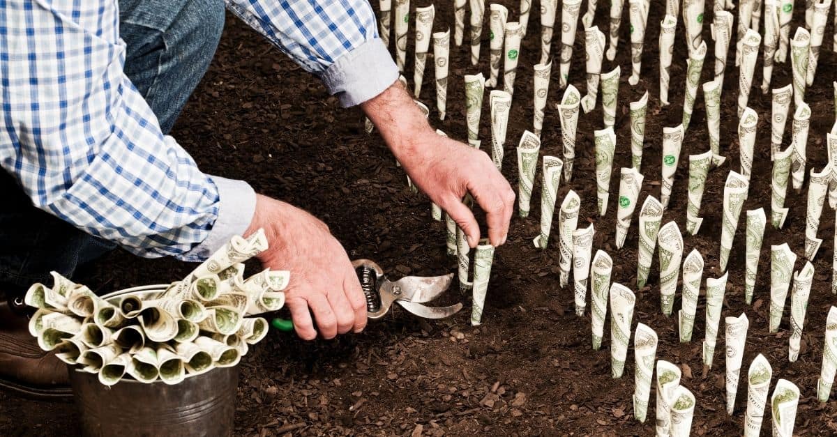 How To Make $1000 A Day (Quickly/Consistently)