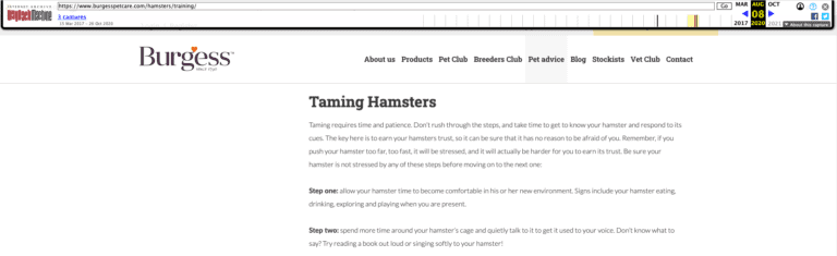 24 Free Tools To Increase Website Traffic In 2025
