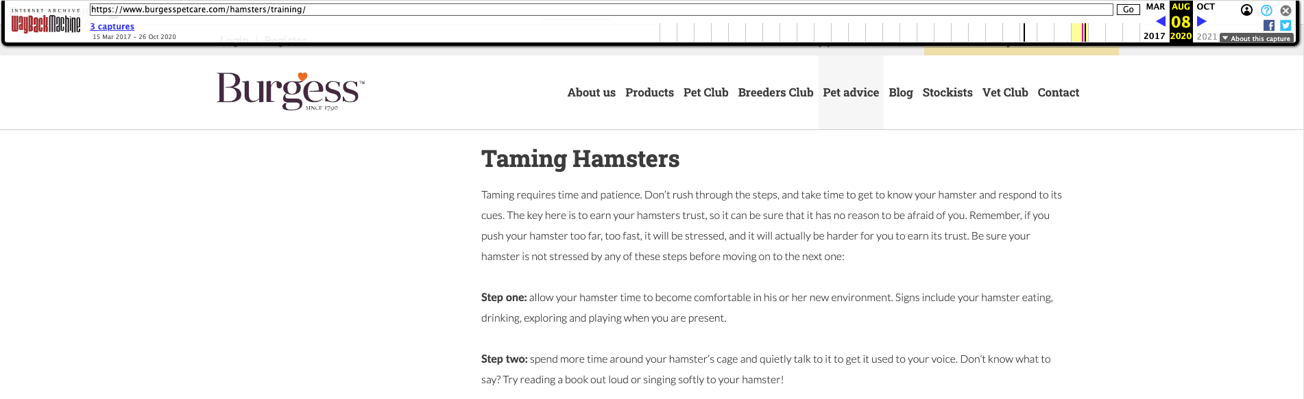 24 Free Tools To Increase Website Traffic In 2025